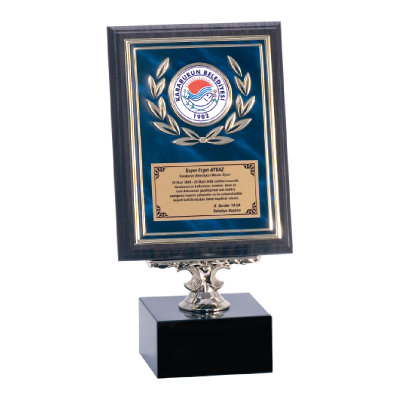 AP-120-A : Plaket.com